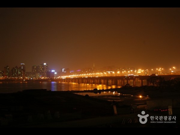 Night View from Mapo Bridge | 마포대교 야경 : TRIPPOSE