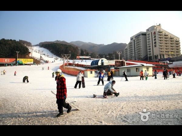 Bears Town Ski Resort | 베어스타운리조트 스키장 : TRIPPOSE