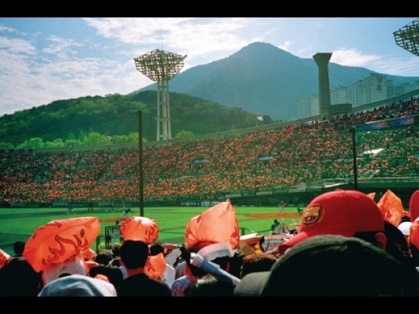 Busan Sports Complex | 부산종합운동장 : TRIPPOSE Busan Sports Complex | 부산종합운동장 : TRIPPOSE