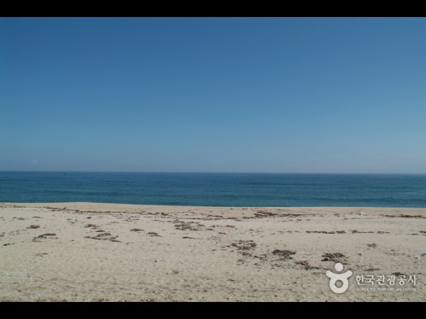 Sacheon Beach | 사천해변 (사천해수욕장) : TRIPPOSE