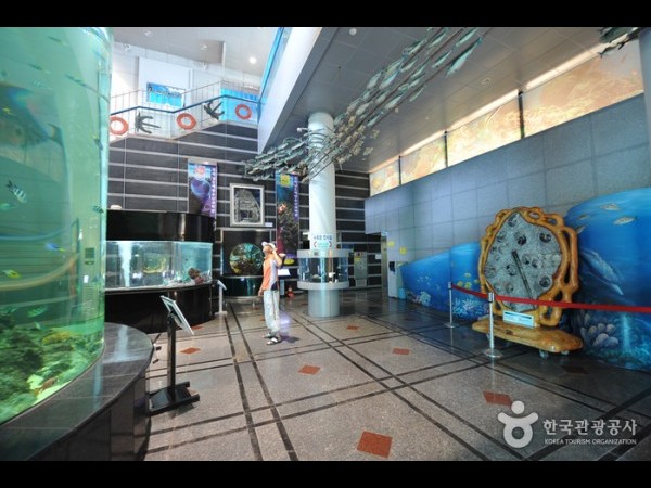 Maritime & Fisheries Science Museum | 전라남도해양수산과학관 : TRIPPOSE