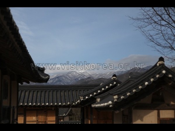 Yeongju Korea Seonbi Culture Festival | 영주선비문화축제 : TRIPPOSE