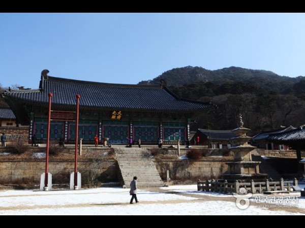 Haeinsa Temple | 해인사(합천) : TRIPPOSE