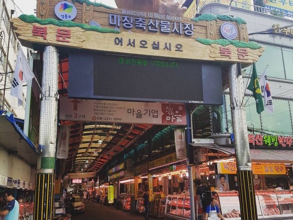 Majang Meat Market | 마장 축산물시장 : TRIPPOSE