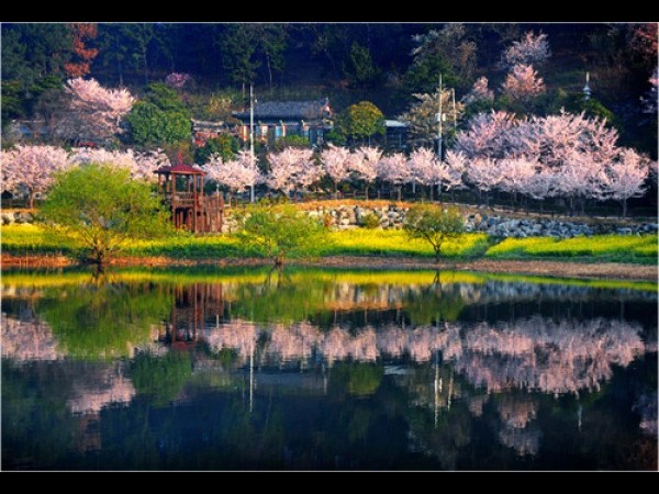 Seonam Lake Park | 선암호수공원 : TRIPPOSE
