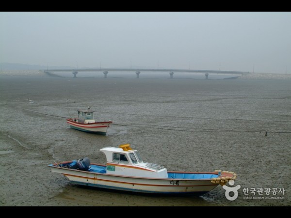 Sindo Island | 신도 : TRIPPOSE