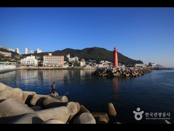 Cheongsapo Port (청사포) | 청사포 : TRIPPOSE