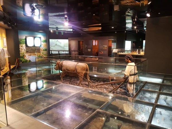 Agricultural Museum (농업박물관) | 농업박물관 : TRIPPOSE